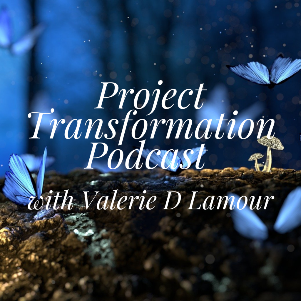 Project Transformation Podcast - Project Transformation Inc.